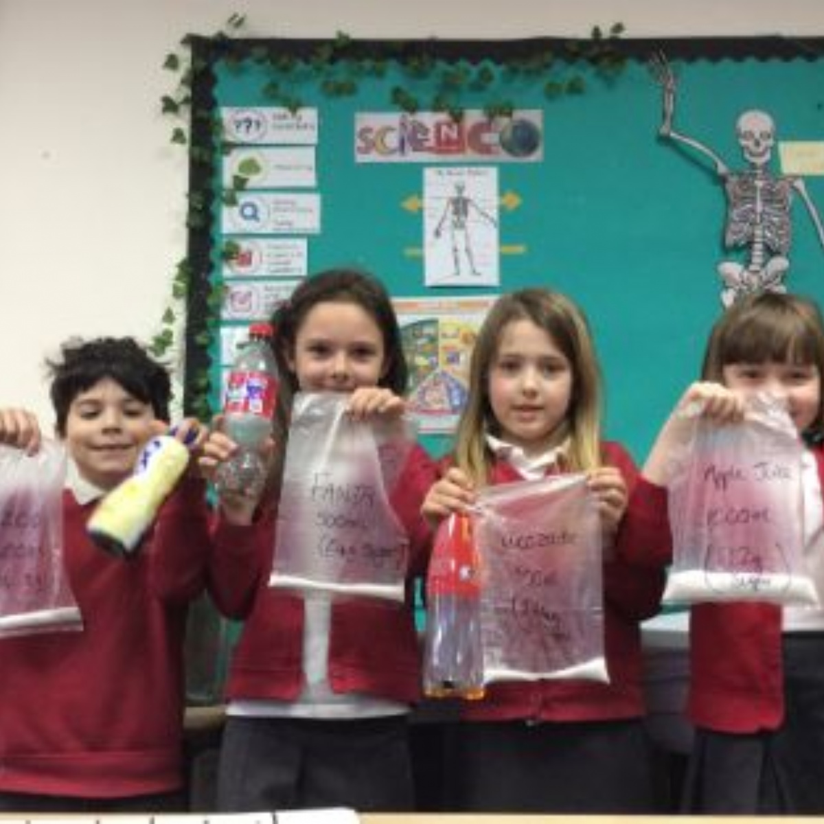 Year 3 Science - Manor Park CE First School